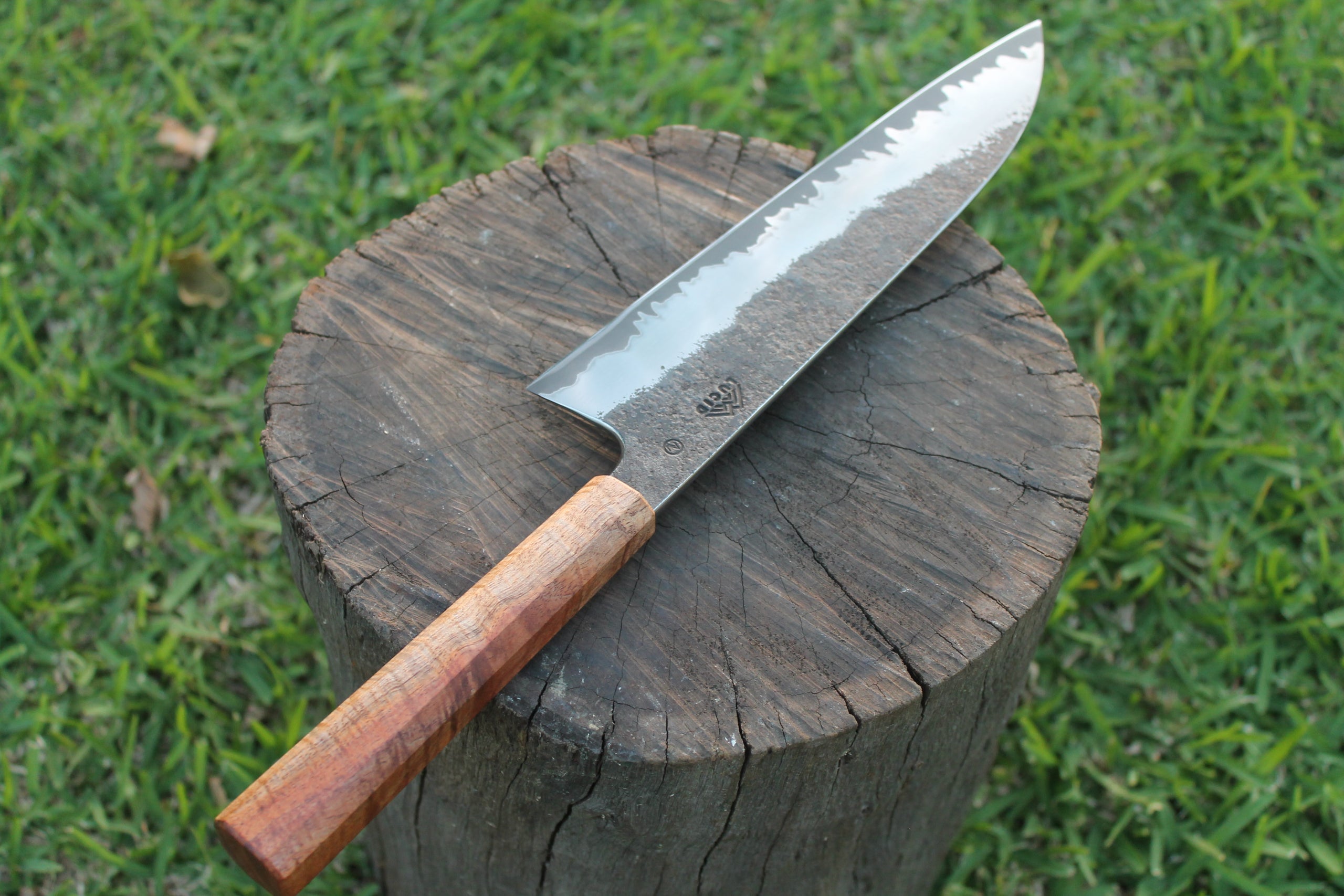 Stainless clad Apex ultra 250x61 | Lucid Knives Hunter Valley
